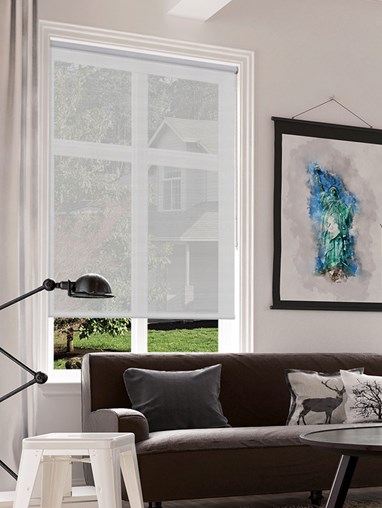 Sunscreen Roller Blinds | - Magic Screen One Way Blinds