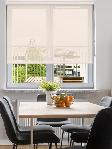 Sunscreen Solar Blinds | - Magic Screen One Way Blinds