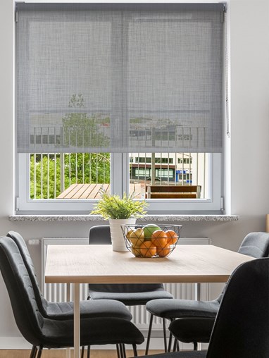 Sunscreen Roller Blinds | - Magic Screen One Way Blinds
